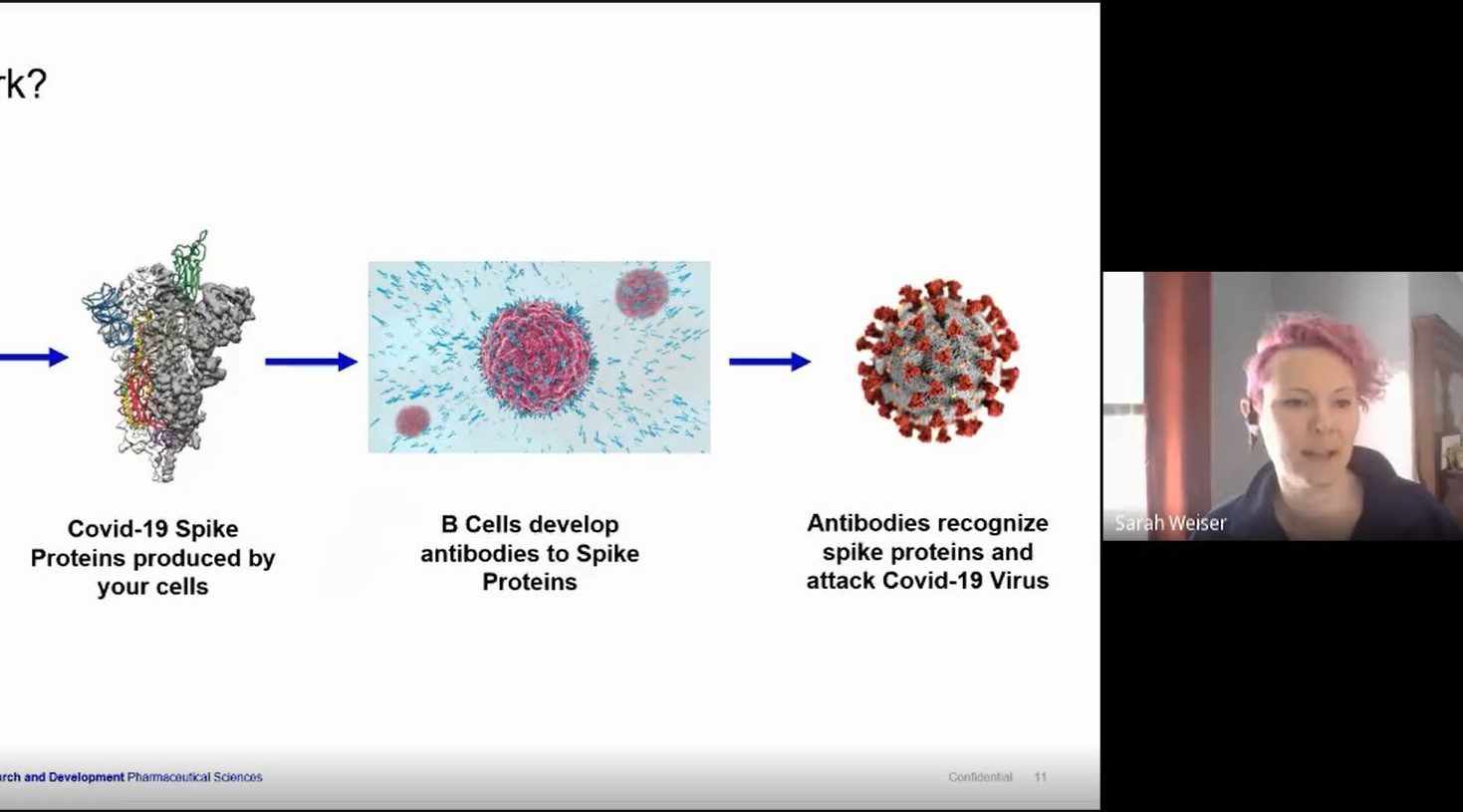 Pfizer scientist discusses careers, vaccine with THS students | Troy ...
